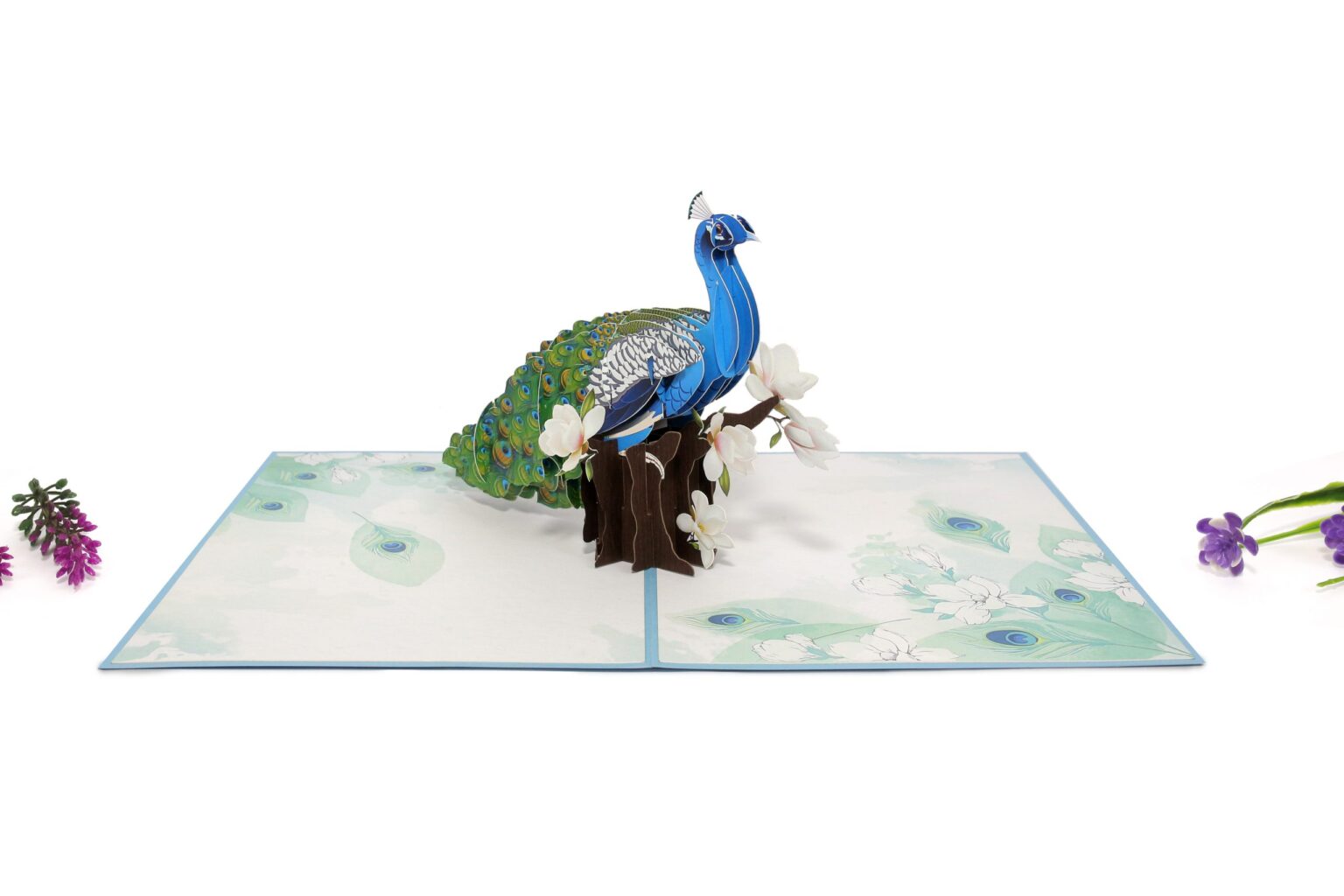 New Peacock Pop Up Card - Kiricard