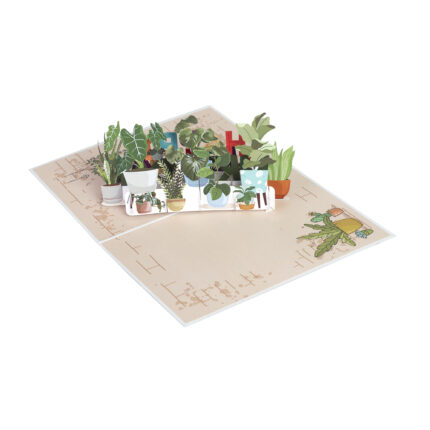 Birthday Plants Pop-Up Card - Kiricard