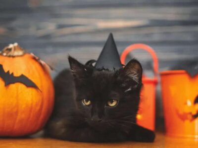 30 Best Spooky and Iconic Halloween Symbols