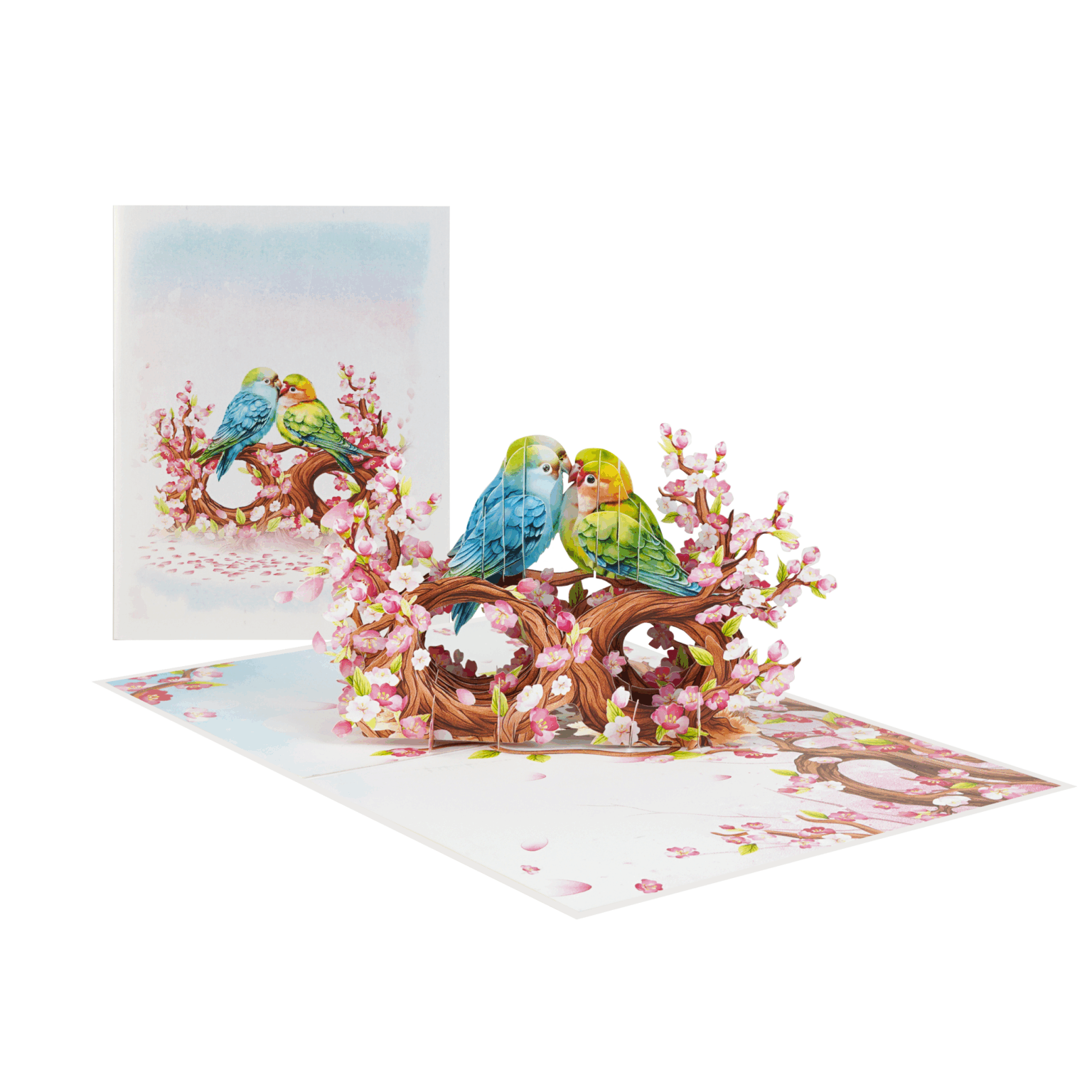 Sea Turtle Pop Up Card - Kiricard